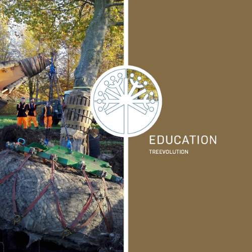 Treevolution - Working on trees for the future